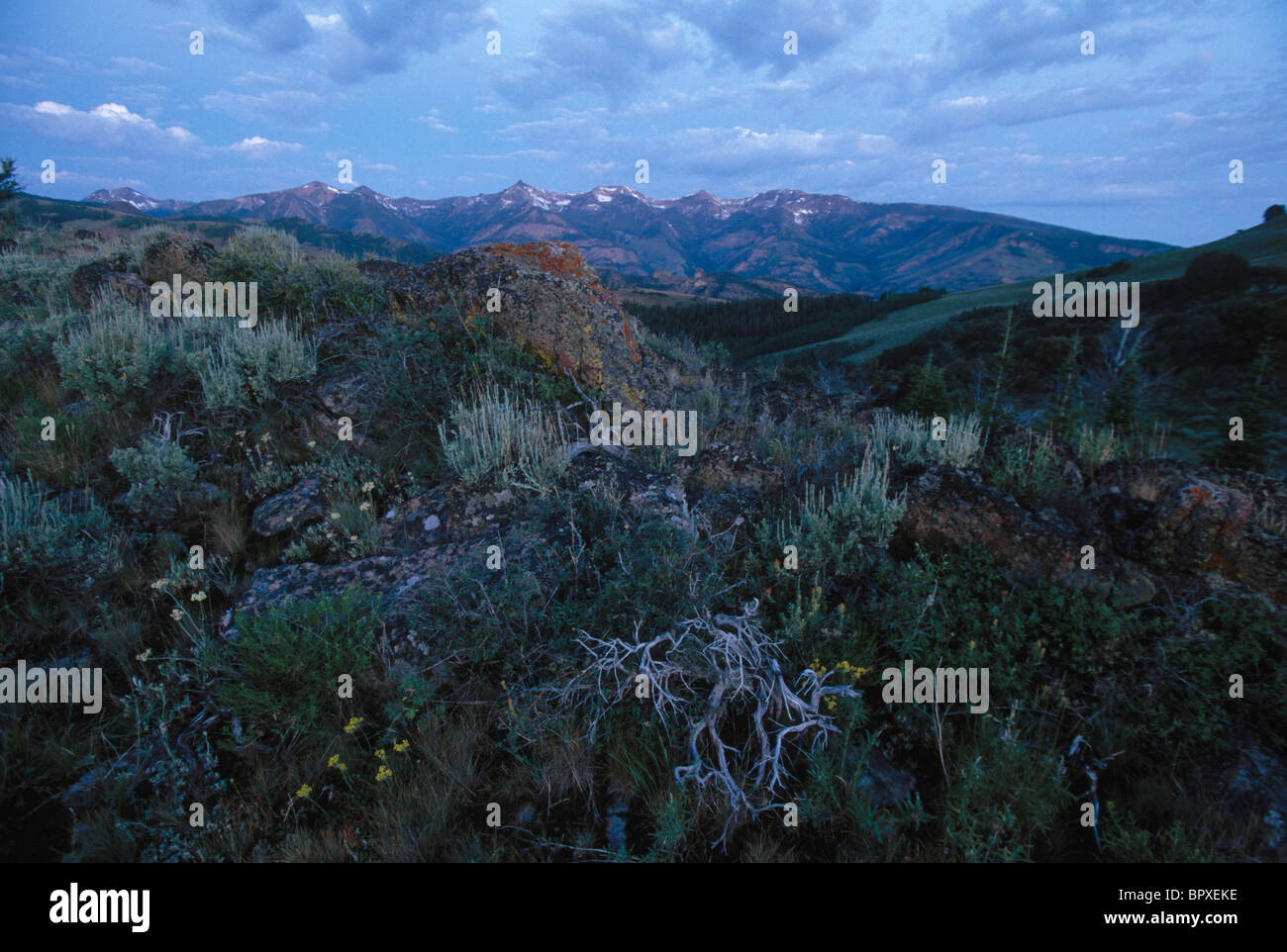 Jarbidge nevada hi-res stock photography and images - Alamy