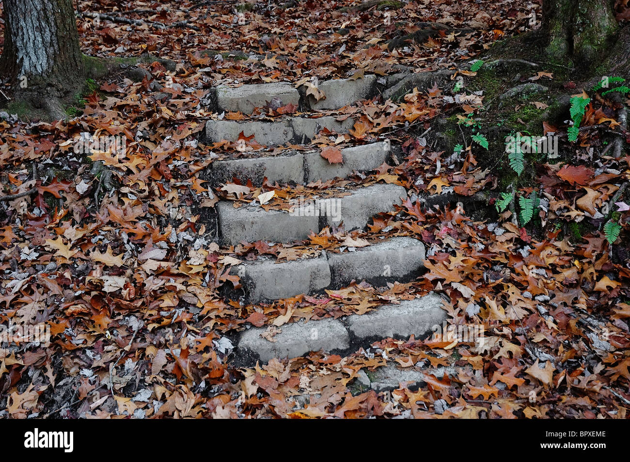 house steps at site of old abandoned mountain settlement near ...