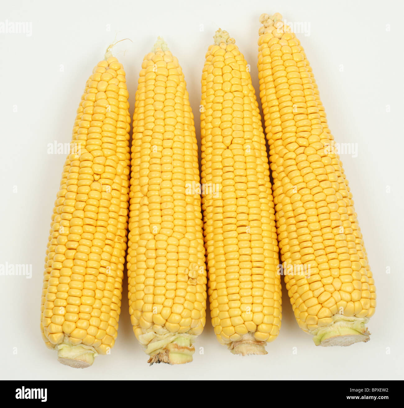 Four corn cobs isolated over white background Stock Photo - Alamy