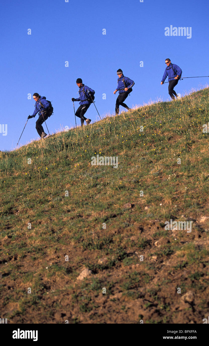 Group of four adults, members of an adventure racing team, hike down ...