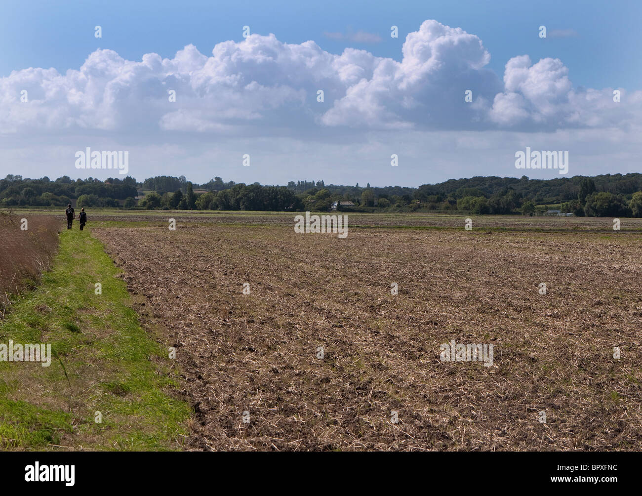 Walkers on the Wantsum walk Kent United Kingdom Stock Photo - Alamy