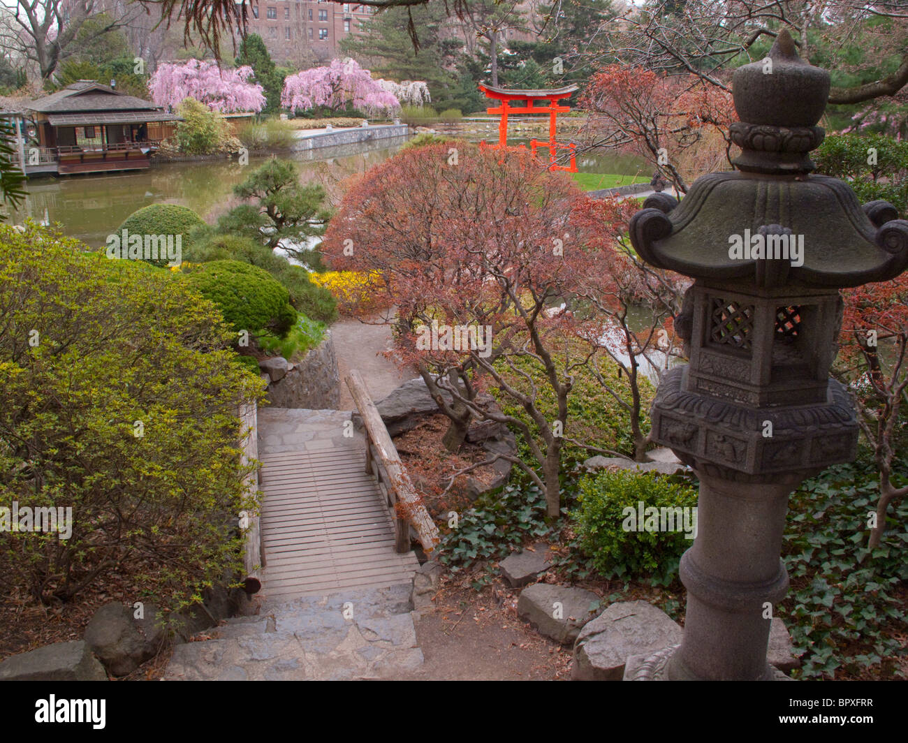 Brooklyn botanical garden japanese hill and pond garden hi-res stock ...