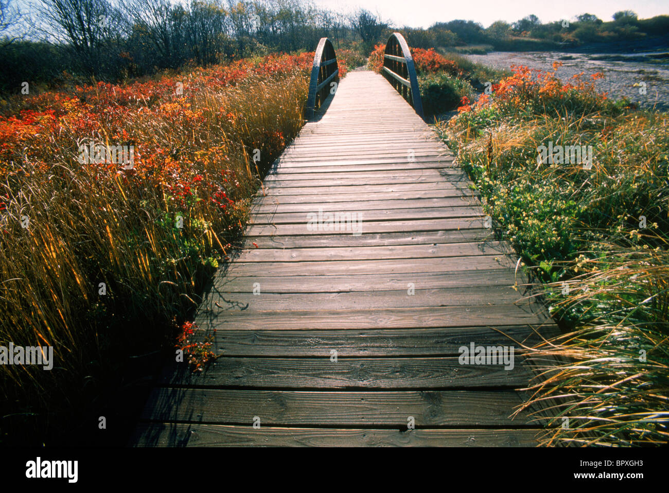 kettle cove in fall Stock Photo - Alamy