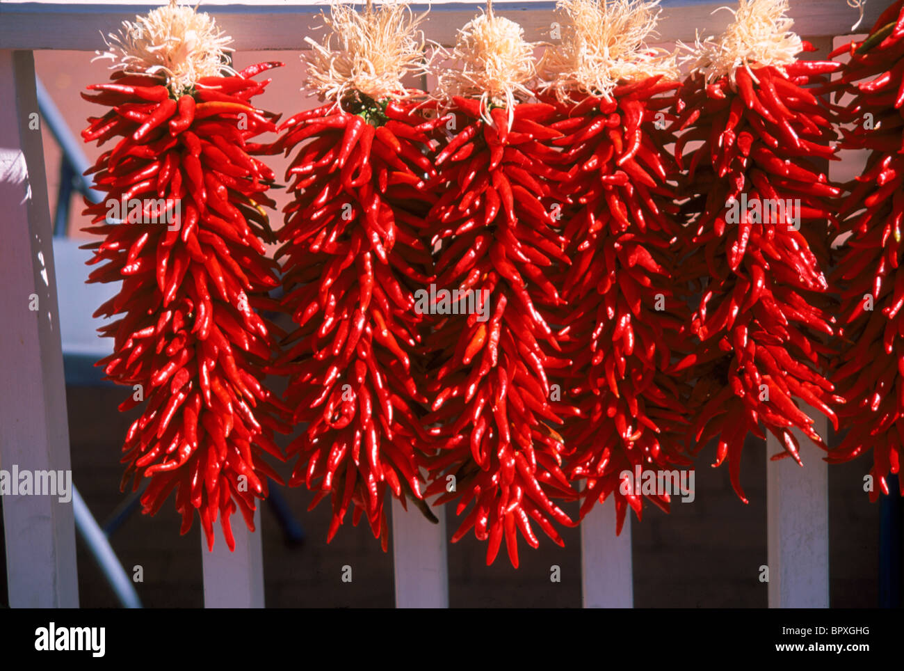 hanging chili ristras Stock Photo - Alamy