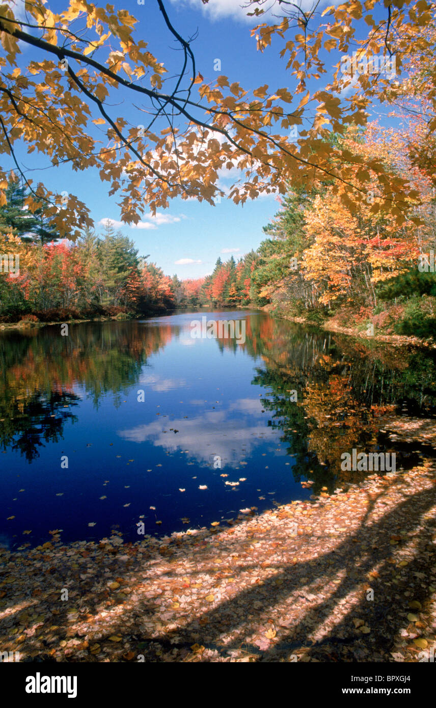 fall pond reflections Stock Photo - Alamy