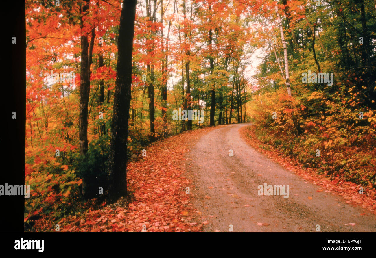 dirt road in fall in autumn Stock Photo - Alamy