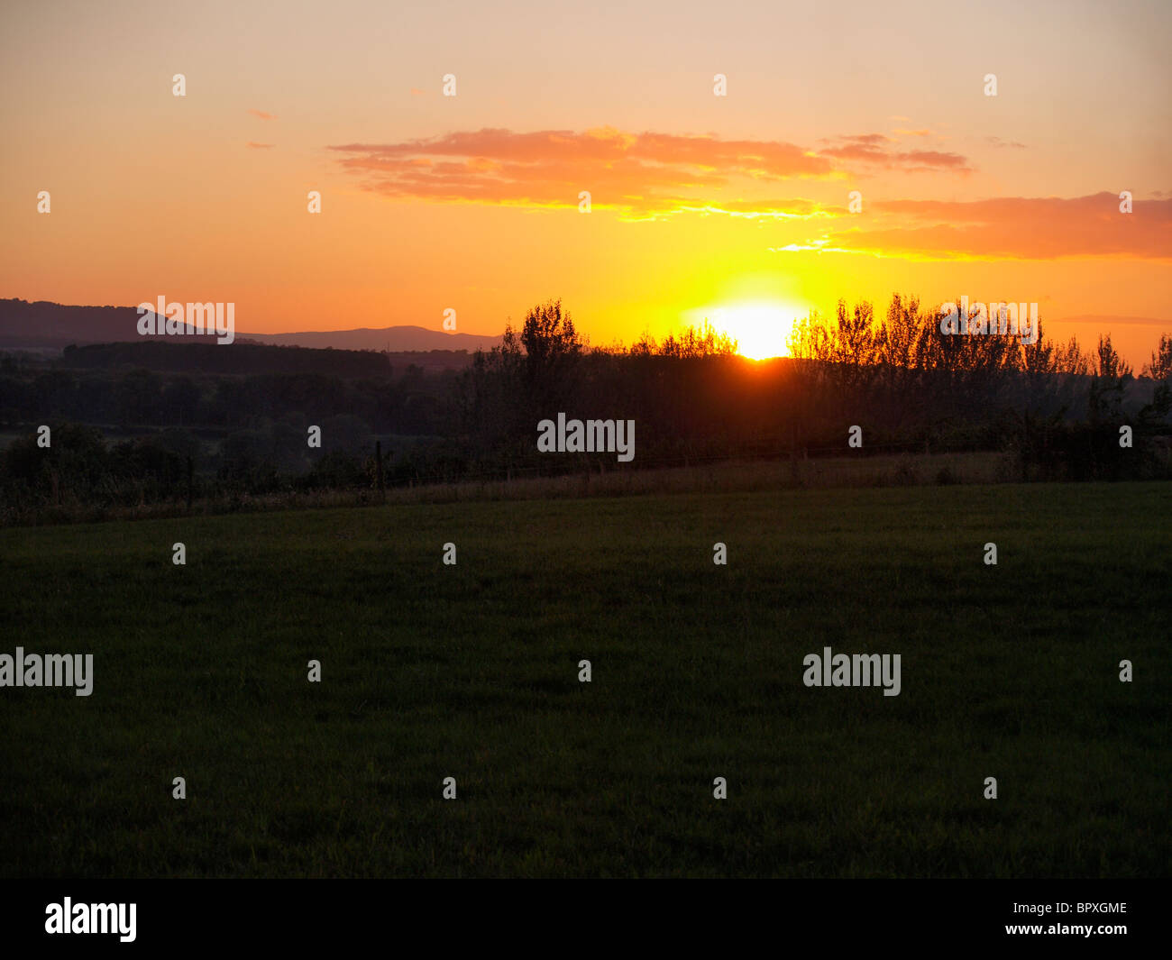 Sunset in countryside trees hi-res stock photography and images - Alamy