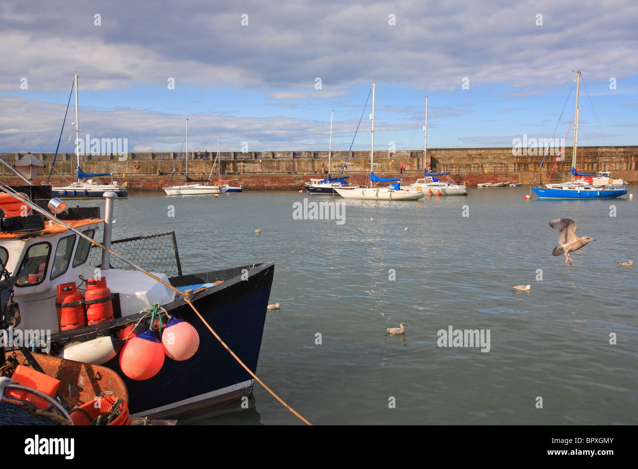Fishin boats at old harbour in Dunbar, Scotland Stock Photo - Alamy