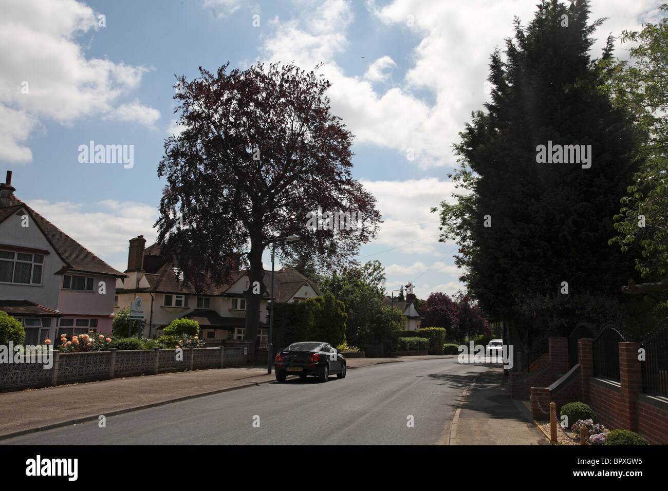 Burdon Lane in Summer Cheam Surrey England Stock Photo - Alamy