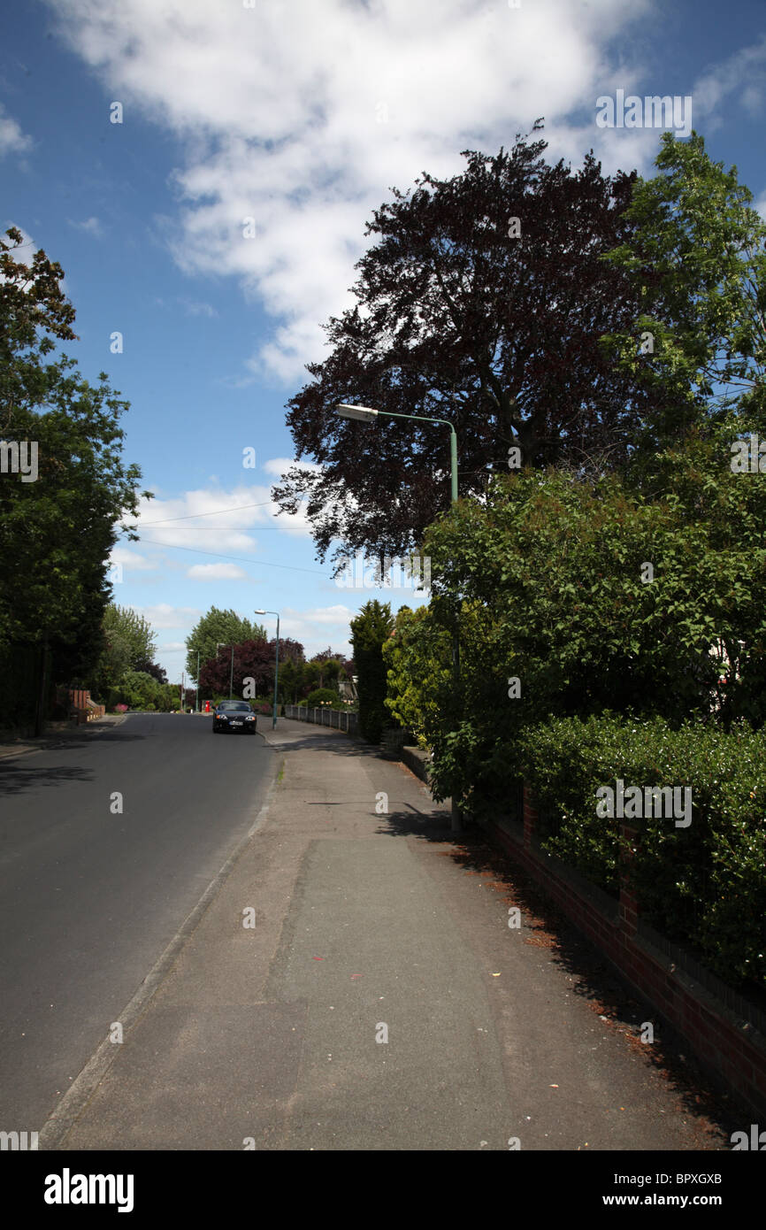 Burdon Lane in Summer Cheam Surrey England Stock Photo - Alamy