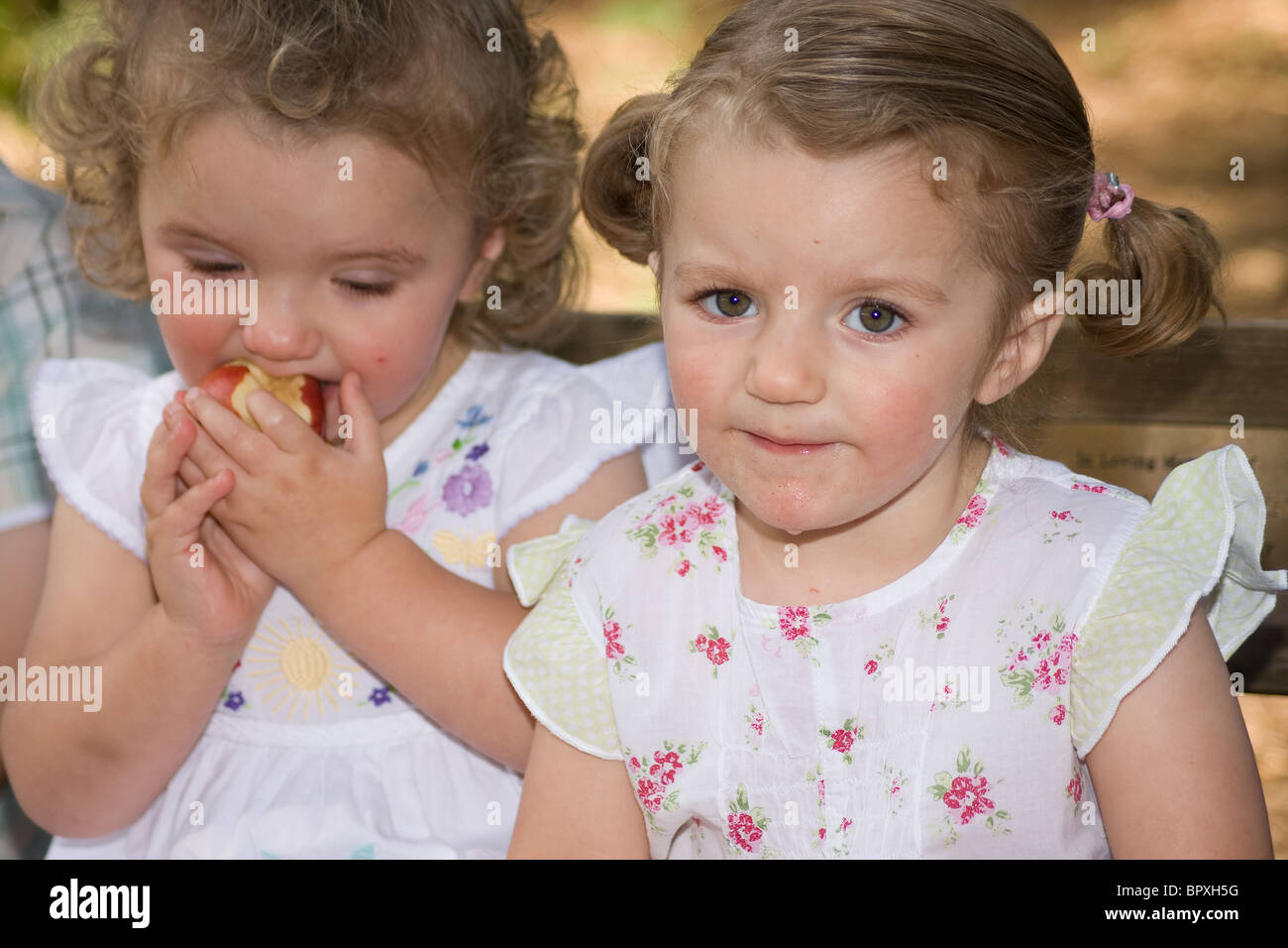 twins toddlers babies making pulling faces similar Stock Photo - Alamy