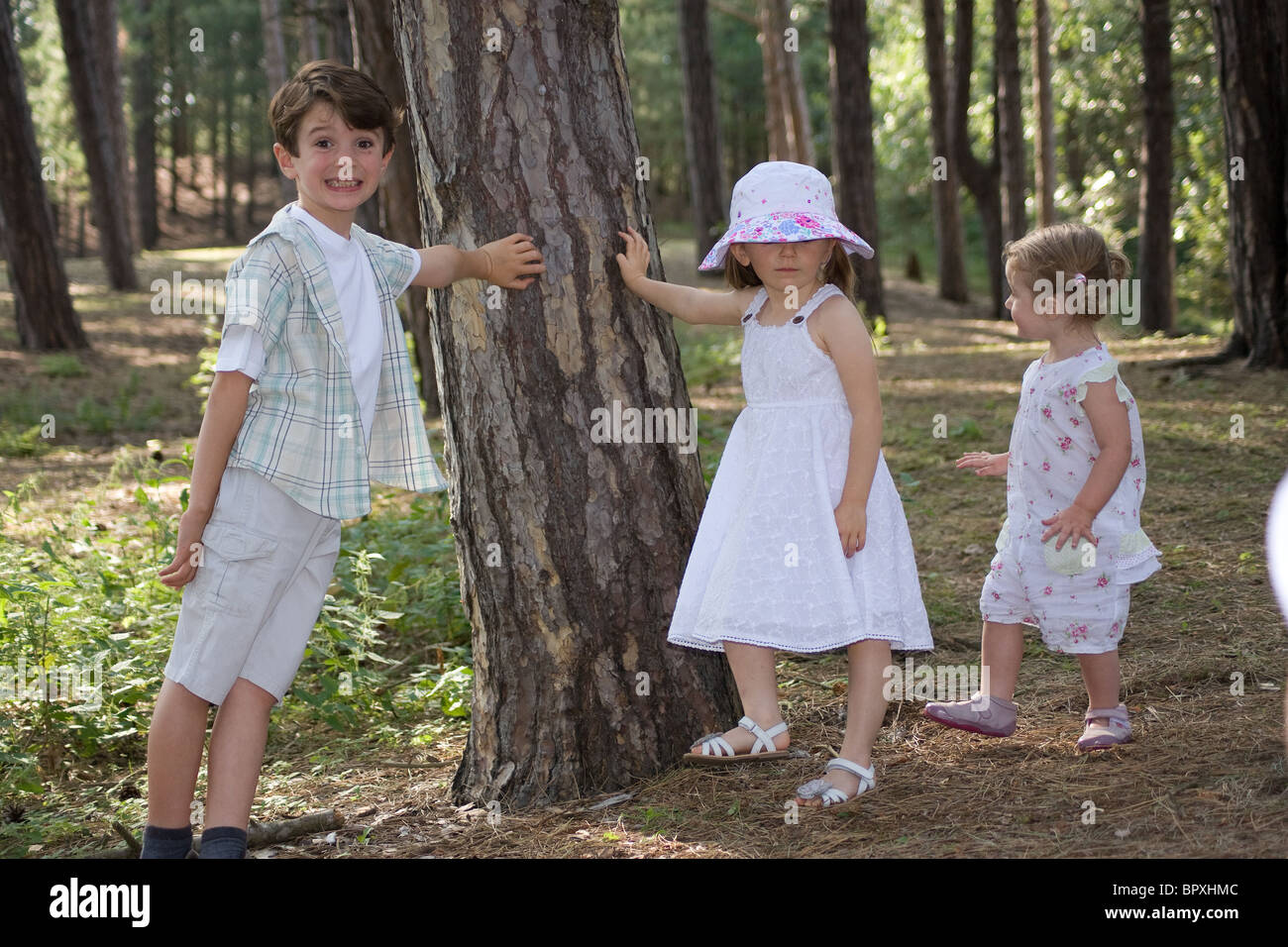 family children playing in the woods sisters young Stock Photo - Alamy