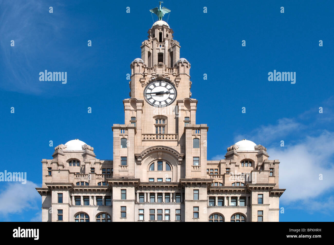 Liver bird liver building hi-res stock photography and images - Alamy