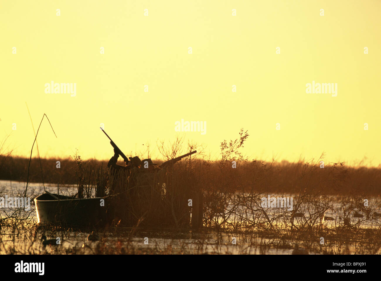 Two hunters take aim in a Louisiana duck marsh at sunrise Stock Photo ...