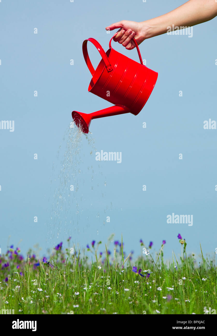 Watercan hi-res stock photography and images - Alamy