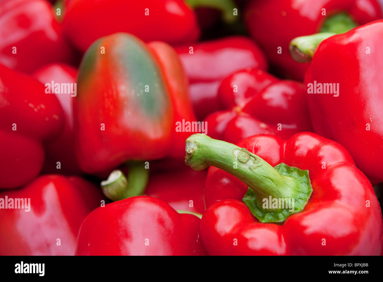 Many fresh red paprika with stem at the market Stock Photo - Alamy
