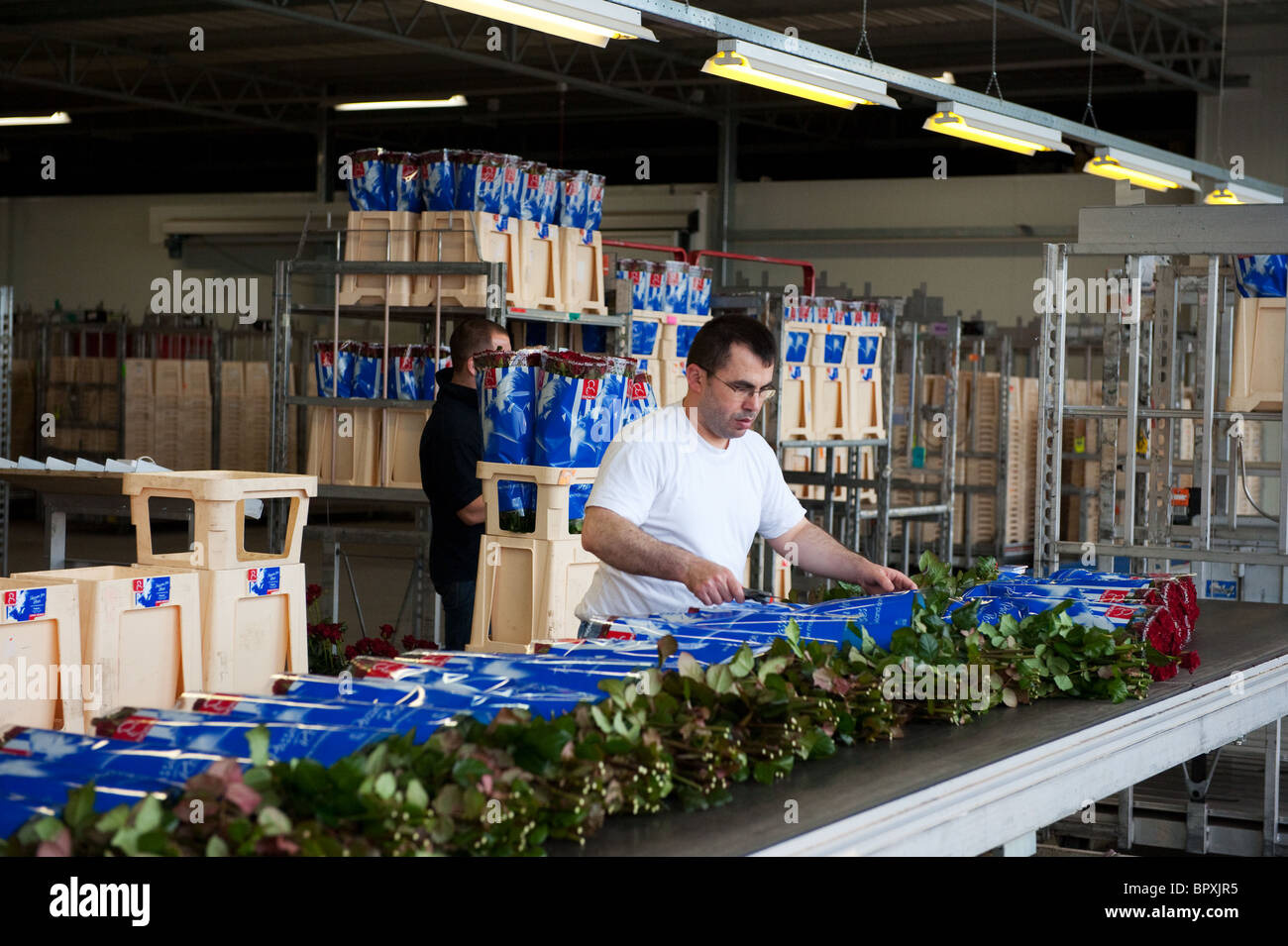Export agriculture hi-res stock photography and images - Alamy