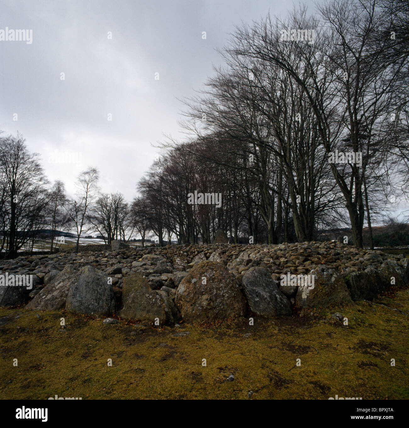 Balnuaran Of Clava Scotland Prehistoric Burial Cairns And Trees Stock ...