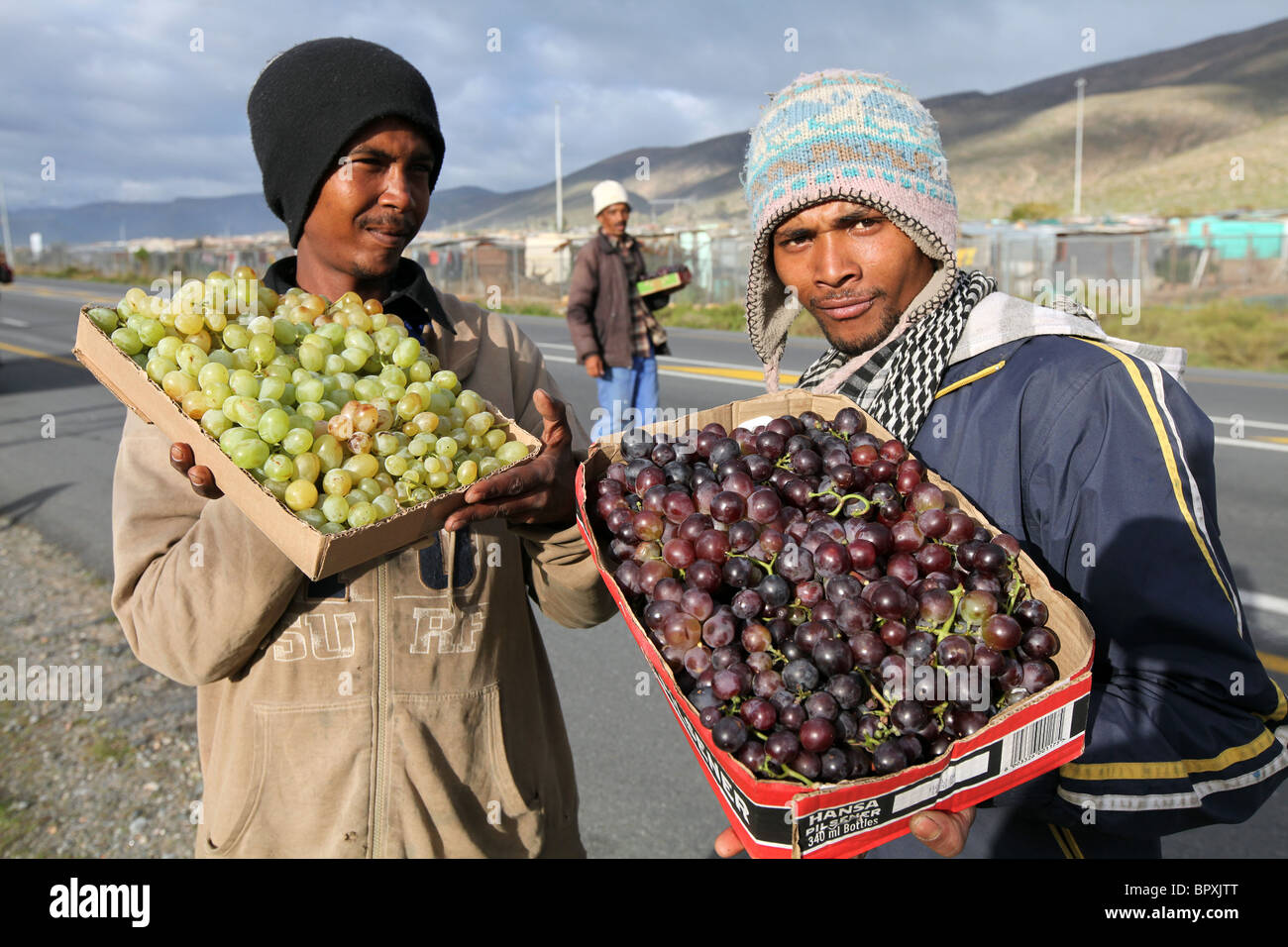 South Africa: men selling grapes on the roadside, Hexvalley wine region ...
