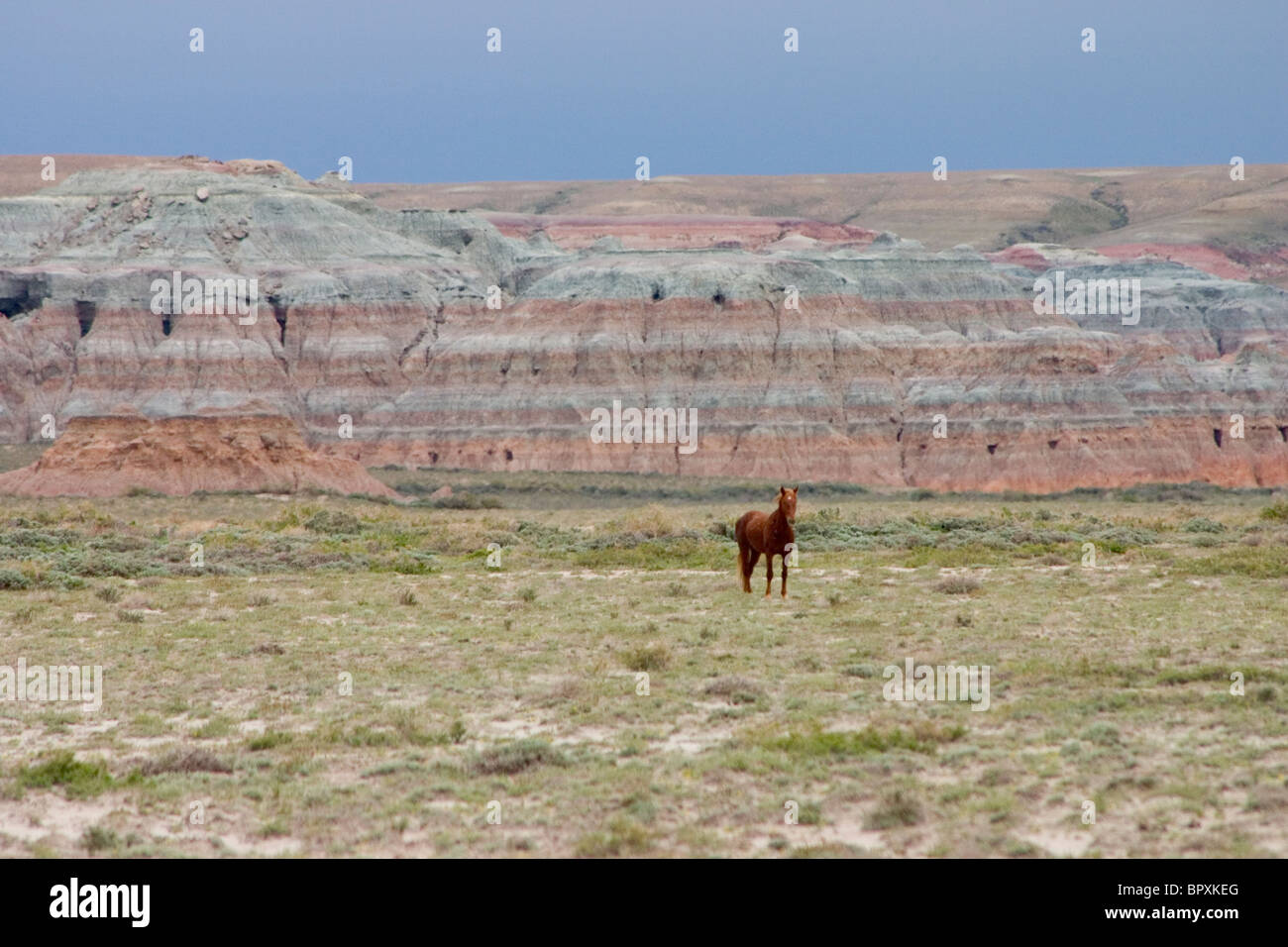The Red Desert, Wyoming Stock Photo - Alamy