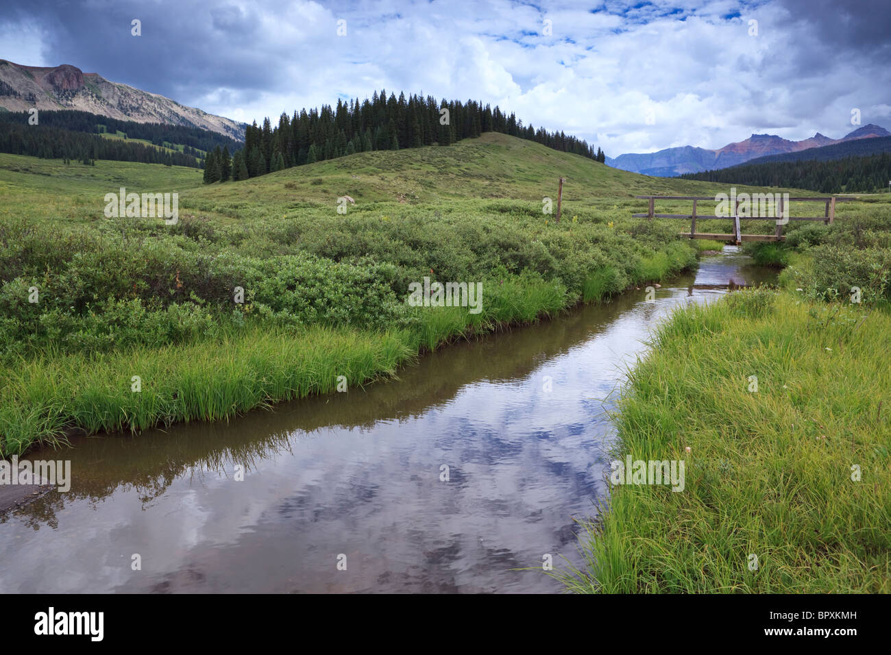 Alpine creek in Colorado Rocky Mountains Stock Photo - Alamy