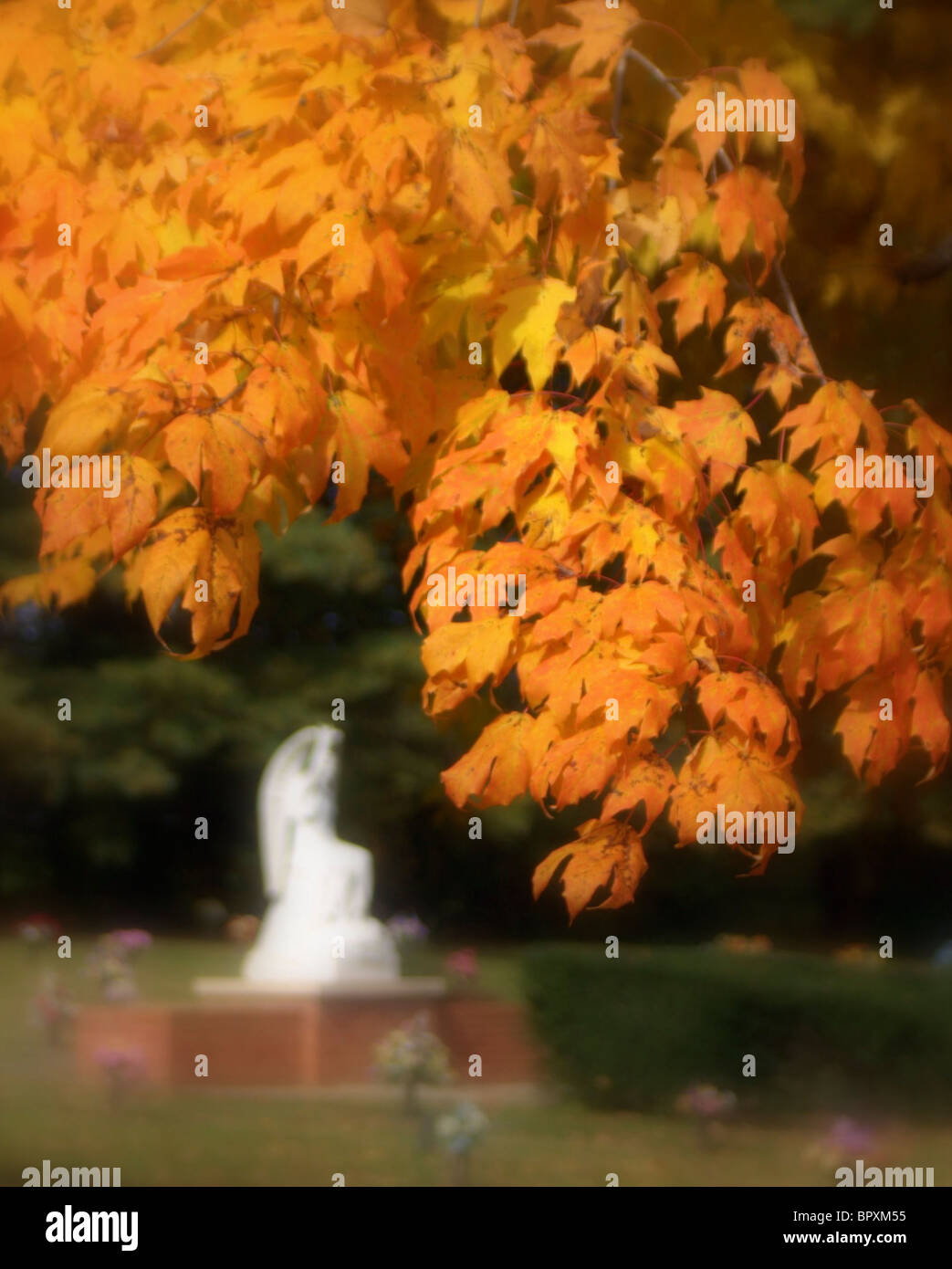 Autumn in the Graveyard - angelic statue holds vigil over loved ones ...