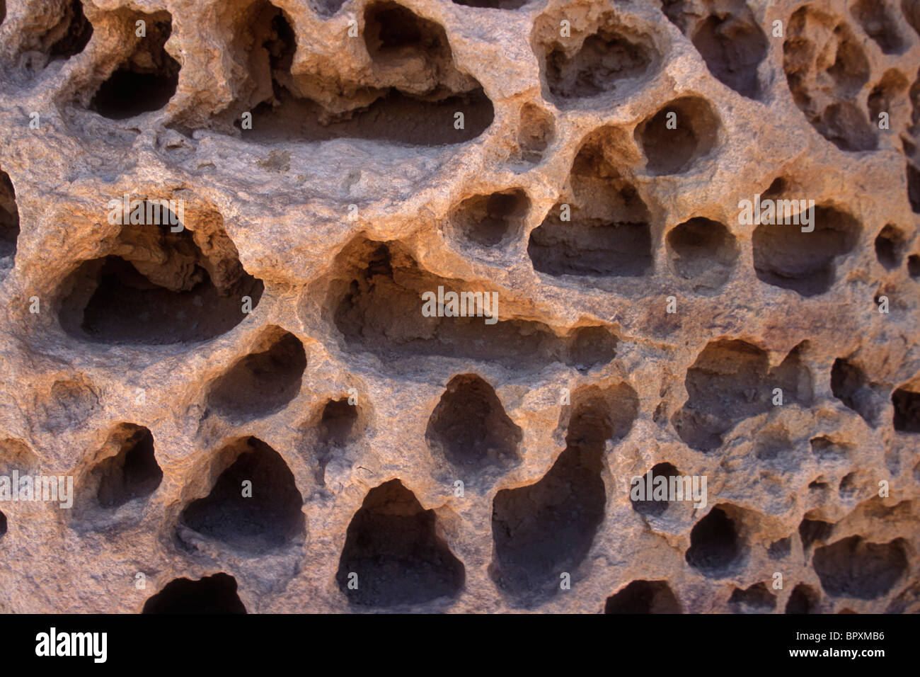 Rock detail in Chaco Culture National Historic Park Stock Photo - Alamy
