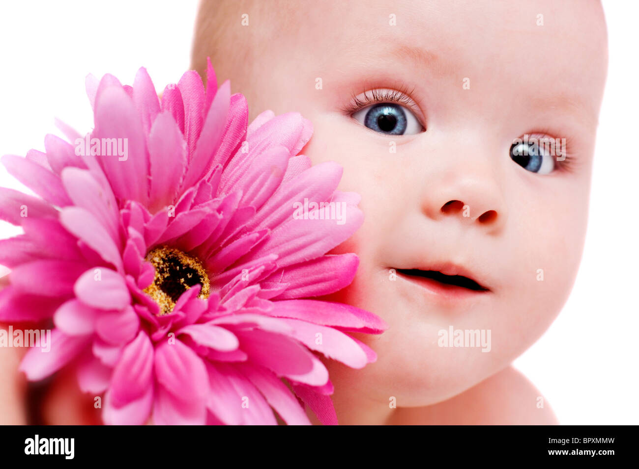 portrait of beautiful baby girl with flower Stock Photo - Alamy