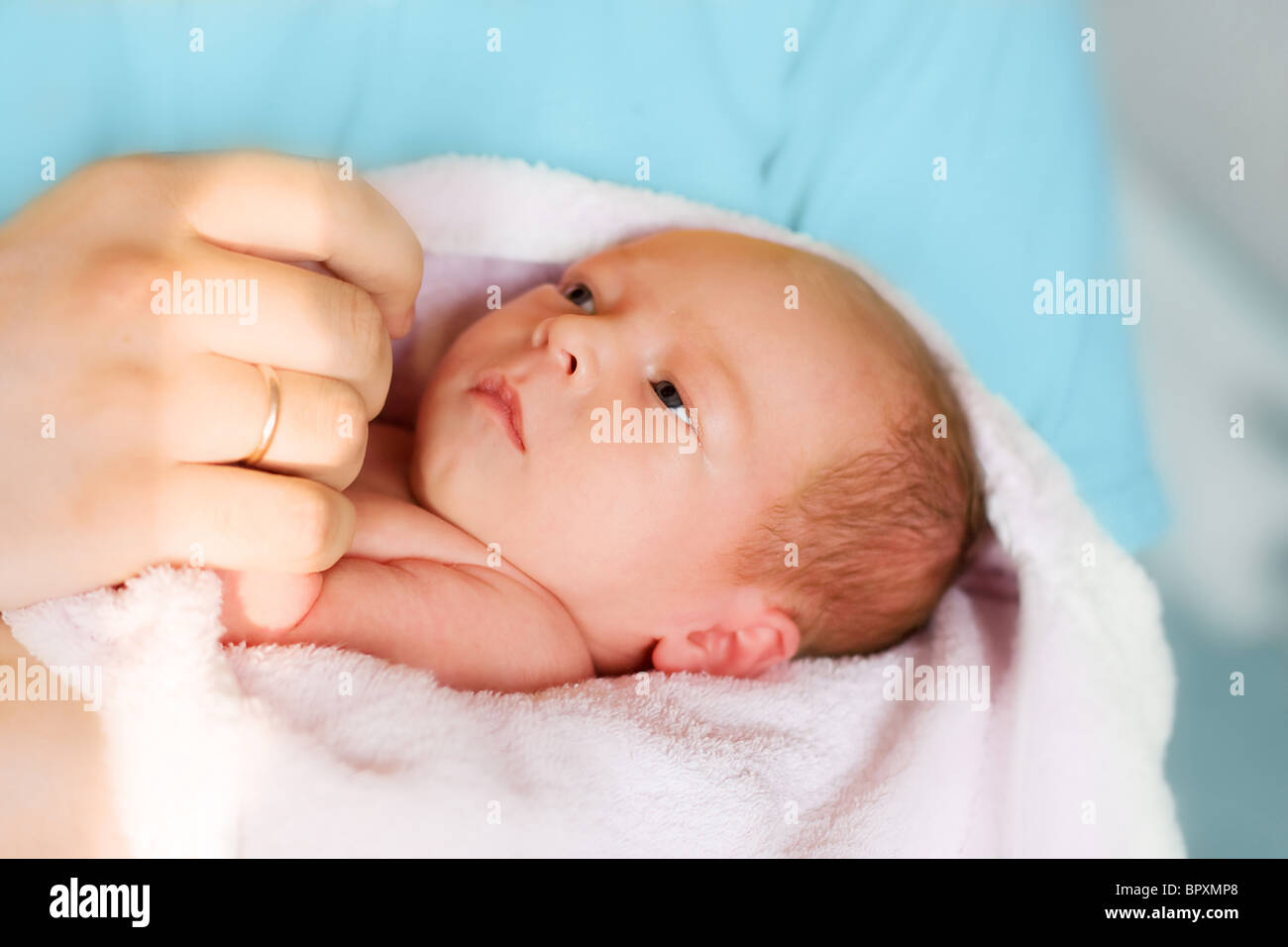 potrait of newborn baby in doctor's hands Stock Photo - Alamy