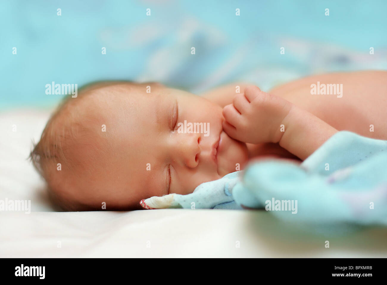 closeup portrait of newborn baby on blue background Stock Photo - Alamy