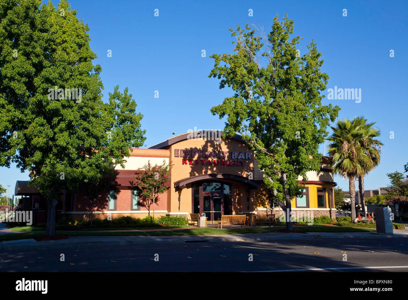 Photo of The Elephant Bar Restaurant Stock Photo - Alamy