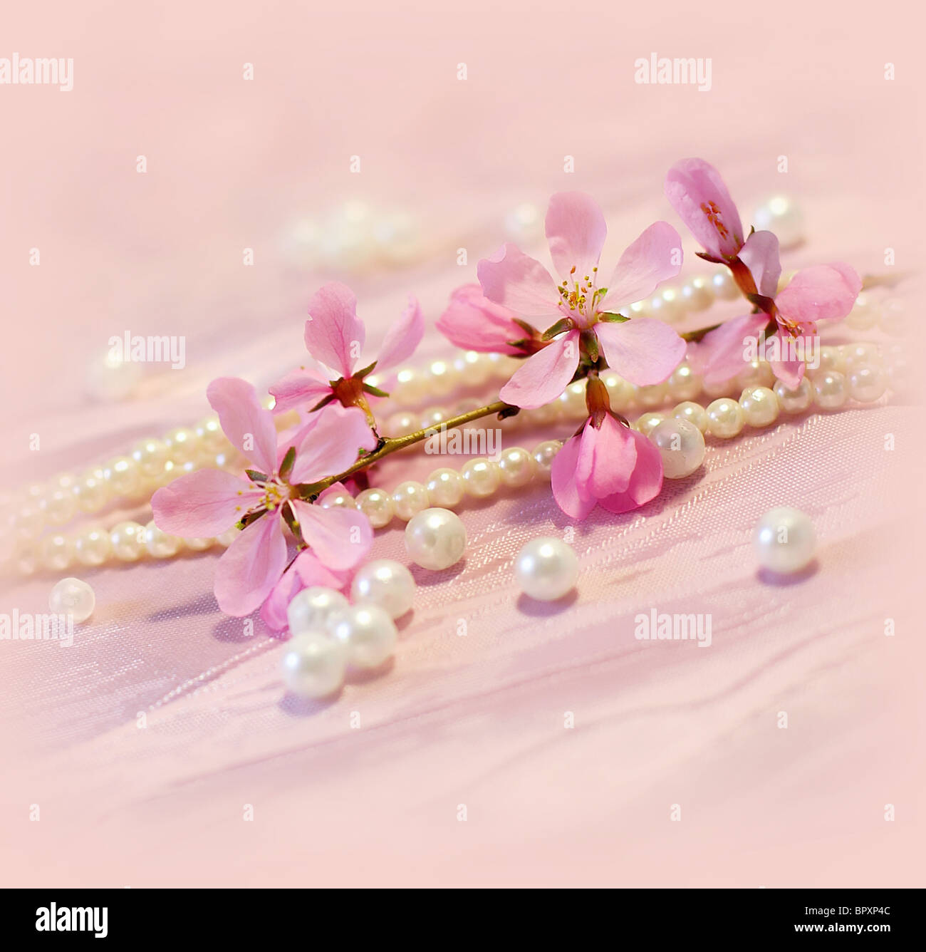 Pink pearl apple hi-res stock photography and images - Alamy