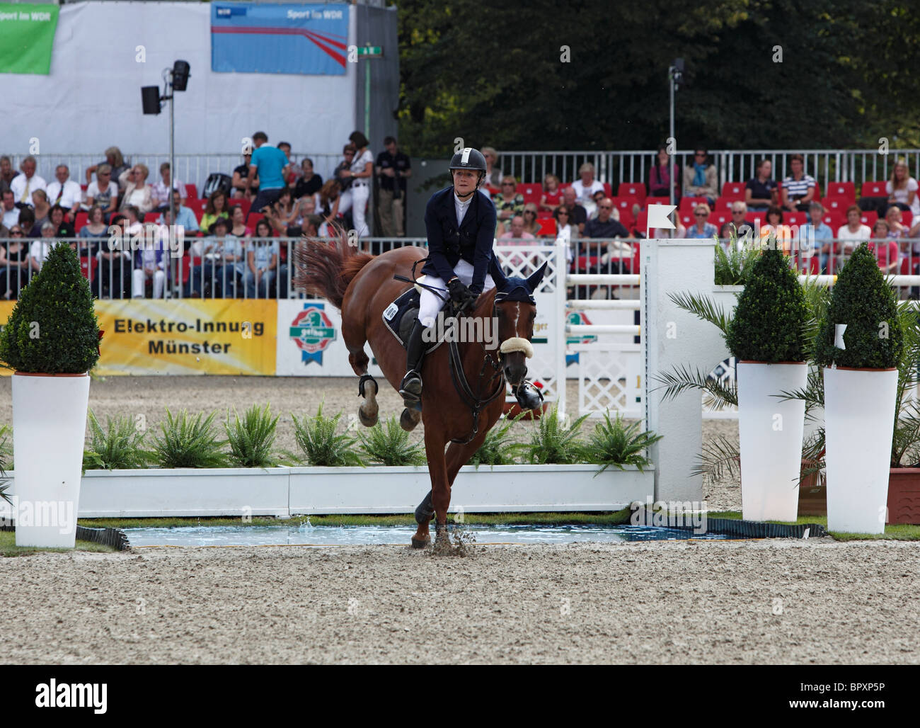 equestrian sports, German championships jumping and dressage 2010 in ...