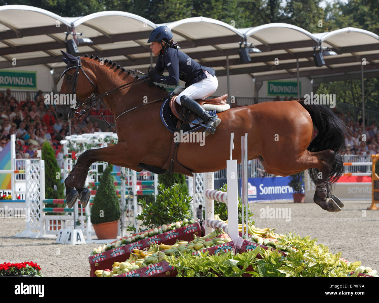 equestrian sports, German championships jumping and dressage 2010 in ...