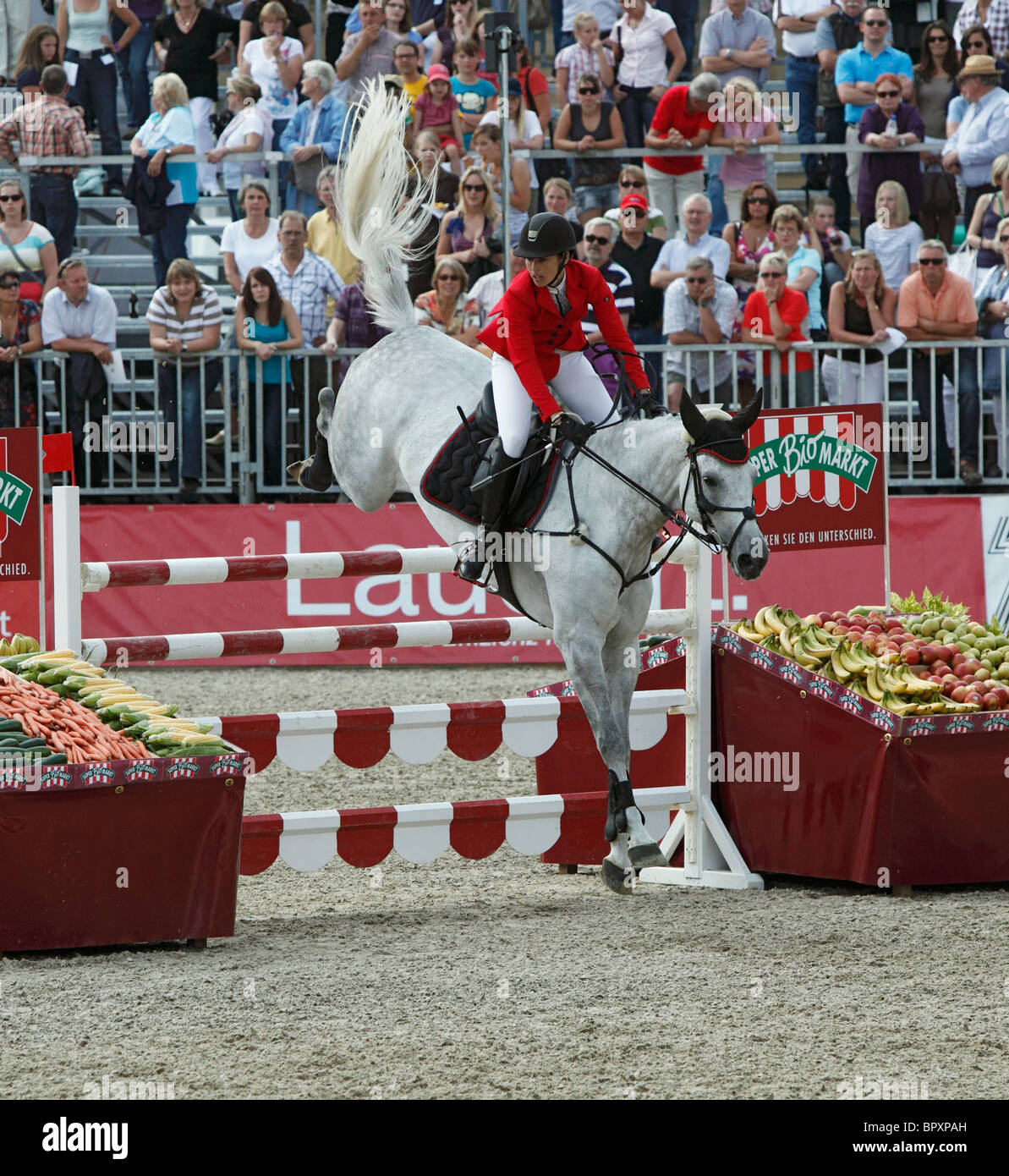 equestrian sports, German championships jumping and dressage 2010 in ...
