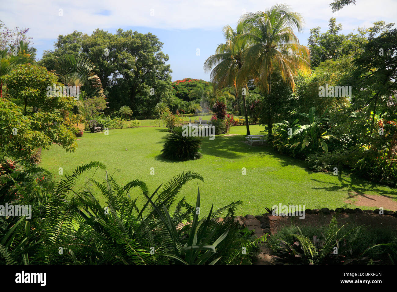 The Botanical Gardens at Romney Manor in St.Kitts Stock Photo - Alamy