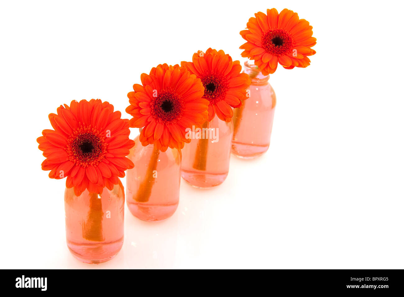 Orange Gerber flowers in a row glass bottles Stock Photo - Alamy