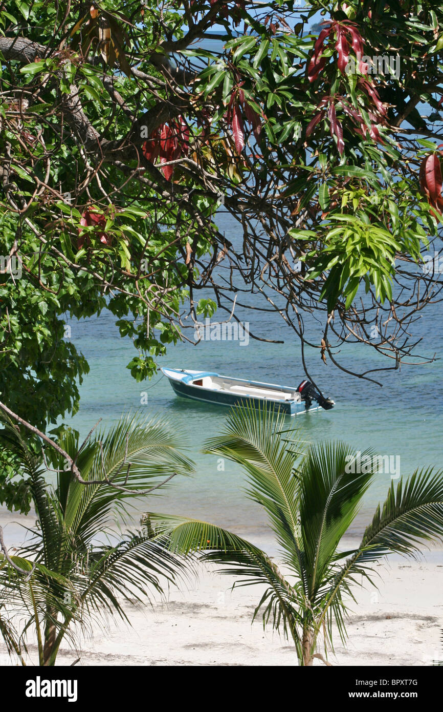 A moored motor boat on the beach of Anse Matelot with palms and trees ...