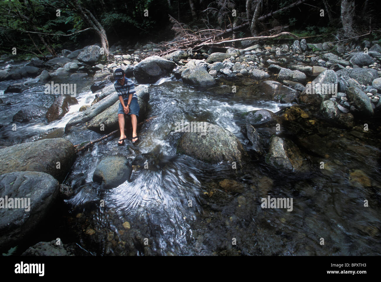A stream at Pinkham Notch on the slopes of Mount Washington, the ...