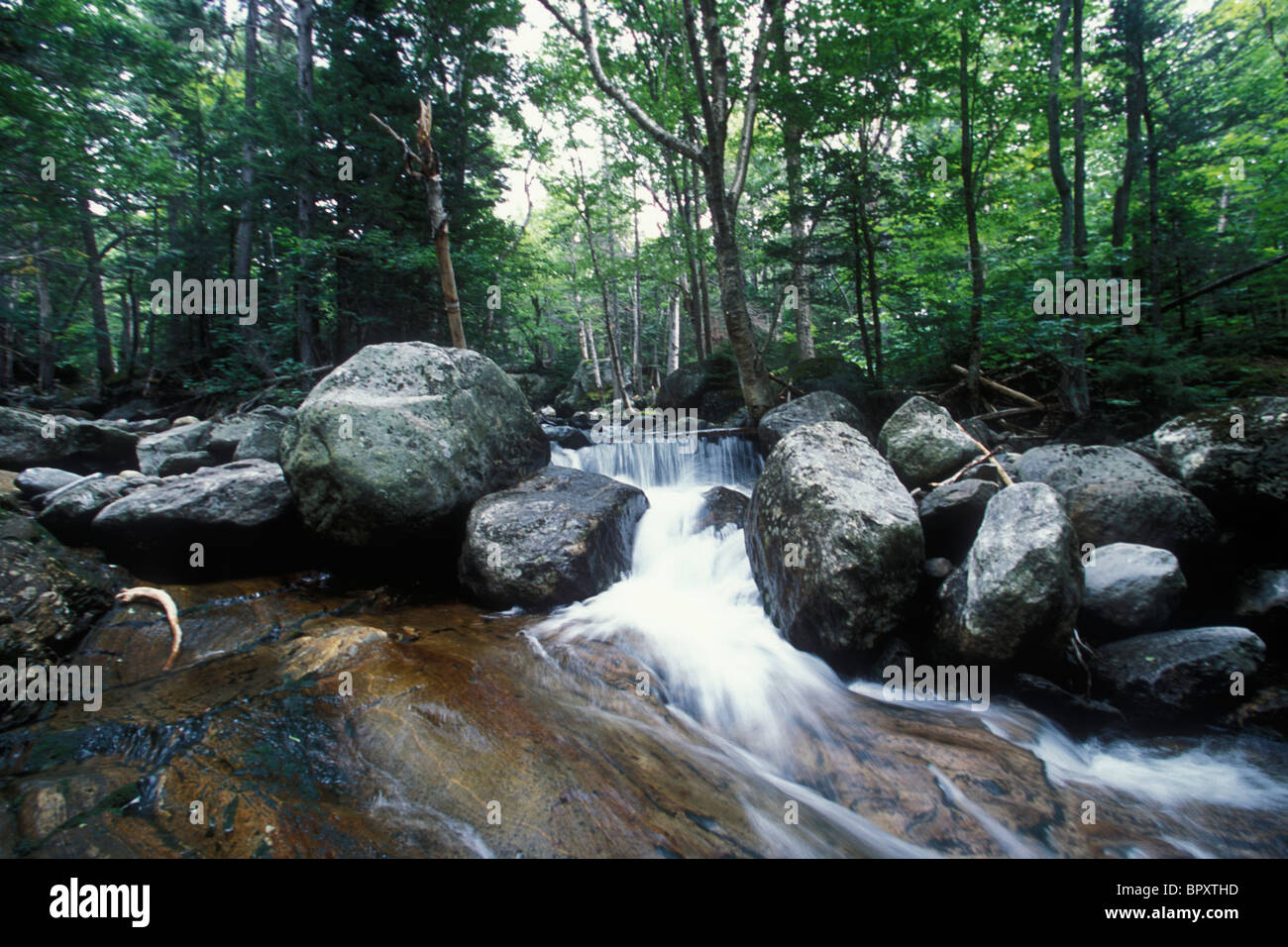 A stream at Pinkham Notch on the slopes of Mount Washington, the ...