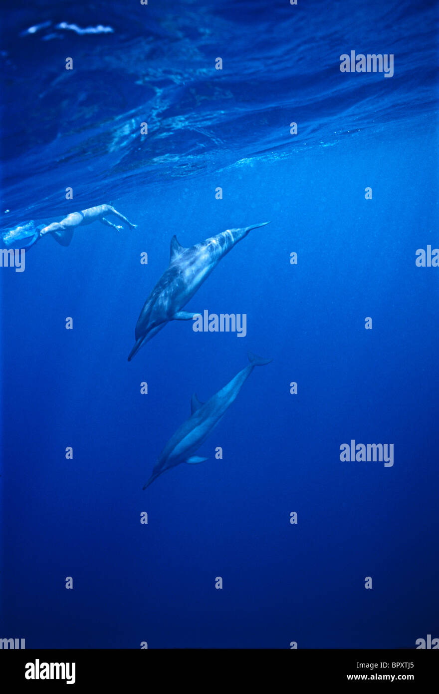 Swimmer underwater touch hi-res stock photography and images - Alamy