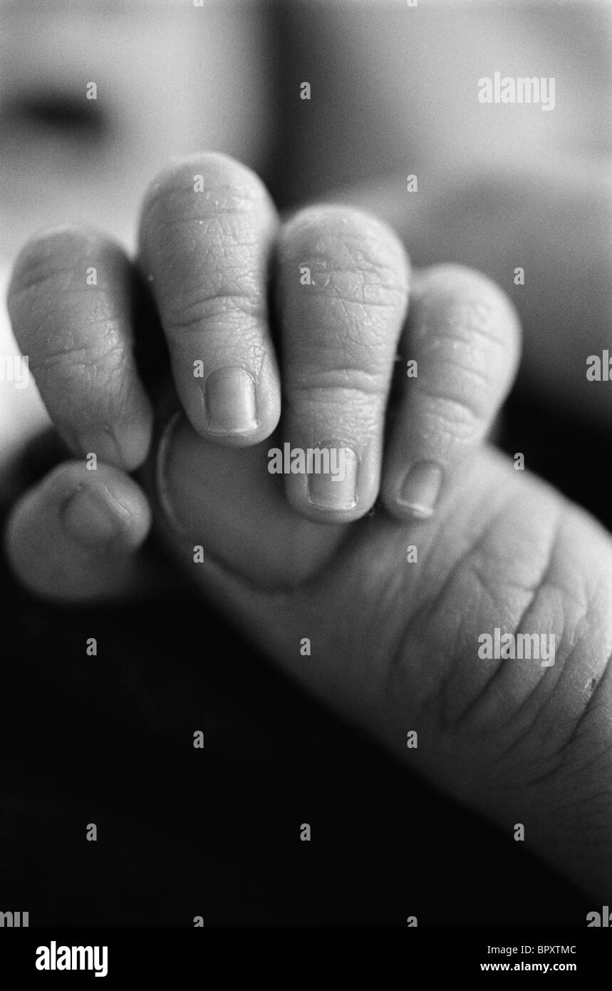 Baby hands b&w hi-res stock photography and images - Alamy