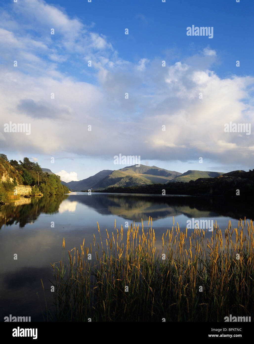 Beautiful evening reflections of Snowdon in the calm waters of Llyn Padarn in the Snowdonia ...