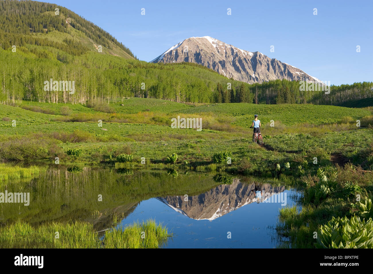 Colorado woman mountain biking on hi-res stock photography and images ...