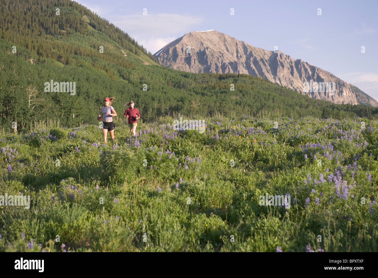Women trail running, Colorado Stock Photo - Alamy