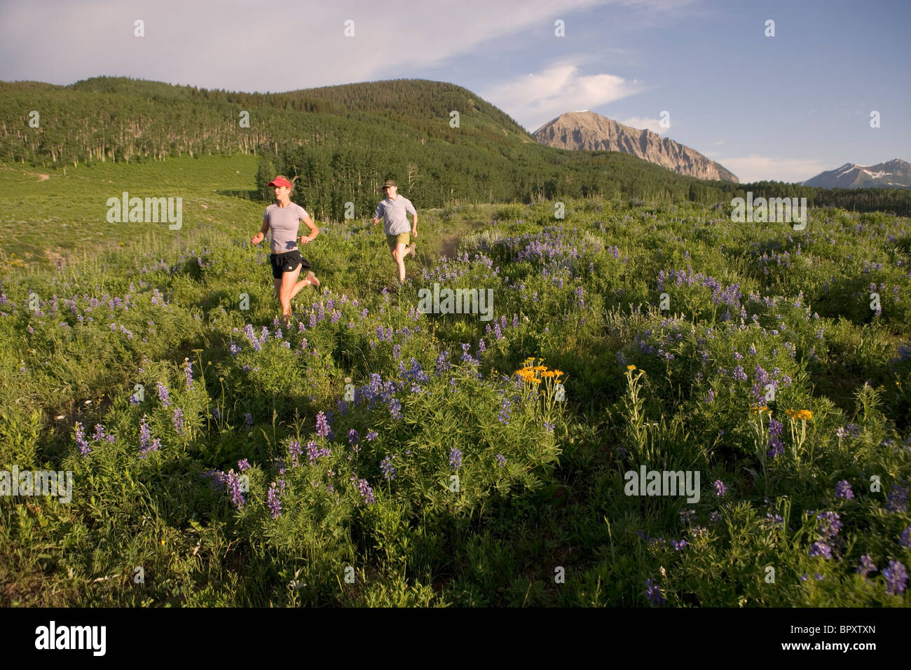 Women trail running, Colorado Stock Photo - Alamy