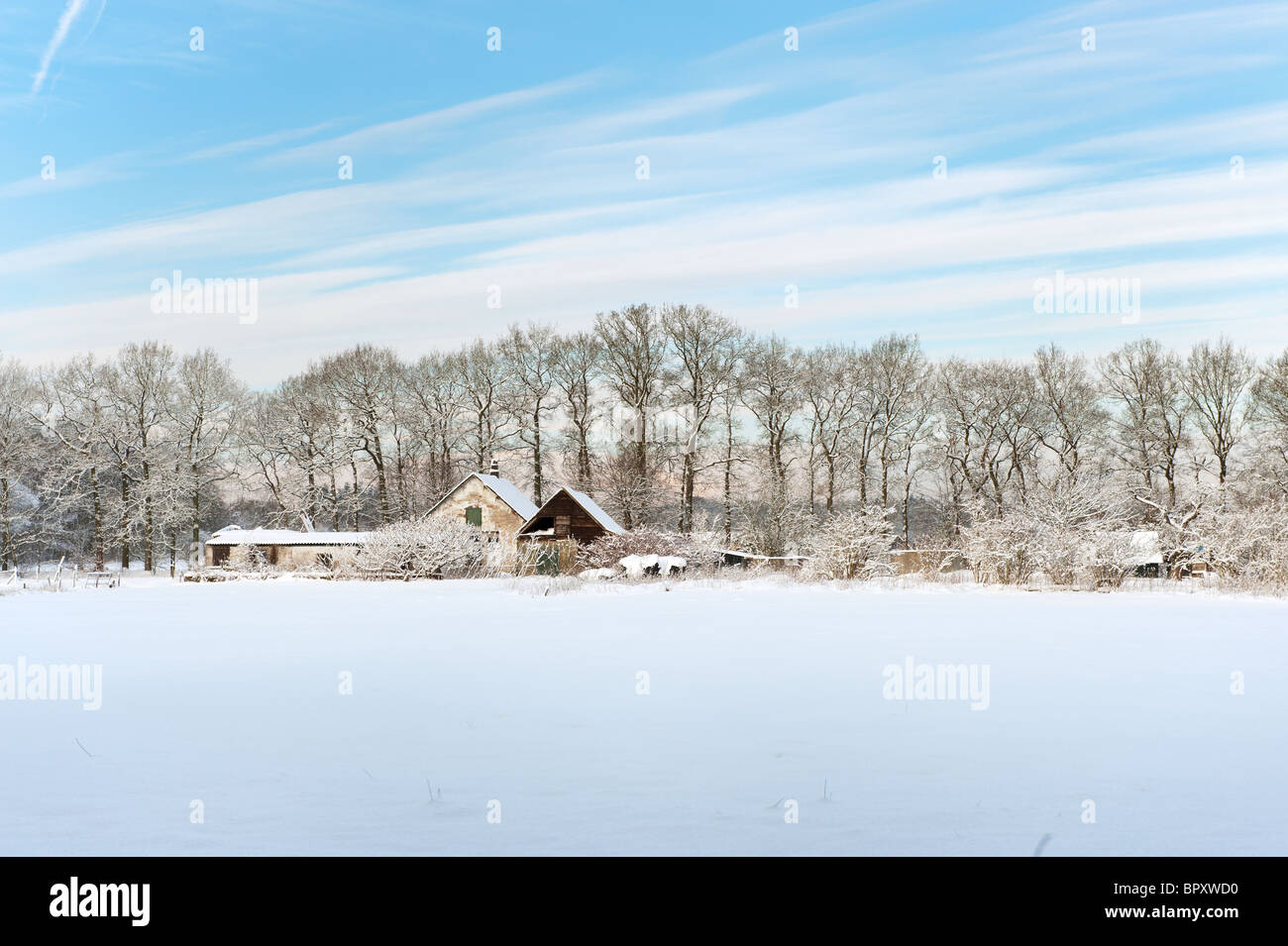 Dutch landscape with farm house in the snow Stock Photo - Alamy