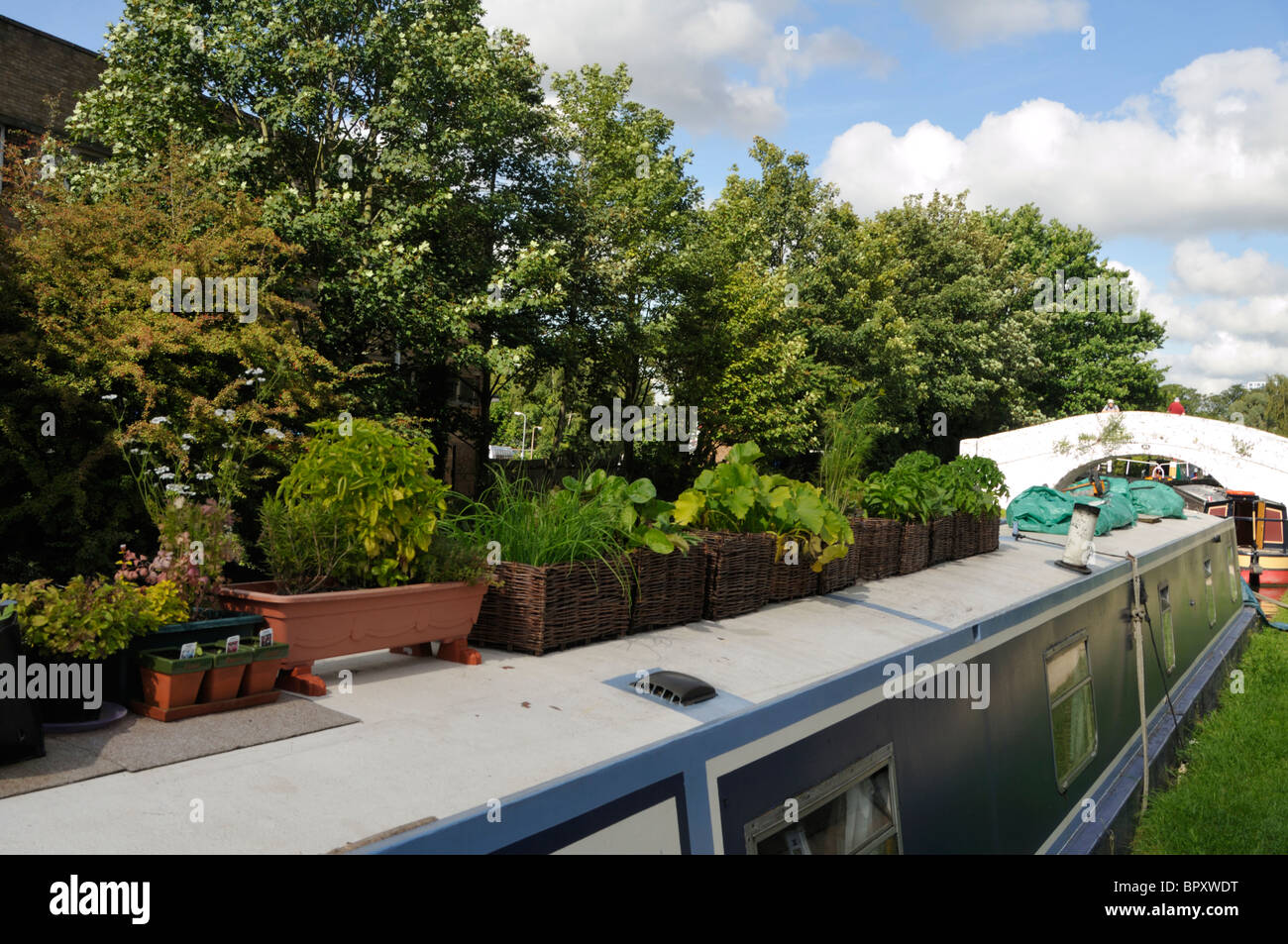 Container garden on the roof of narrow boat on the Grand Union Canal ...