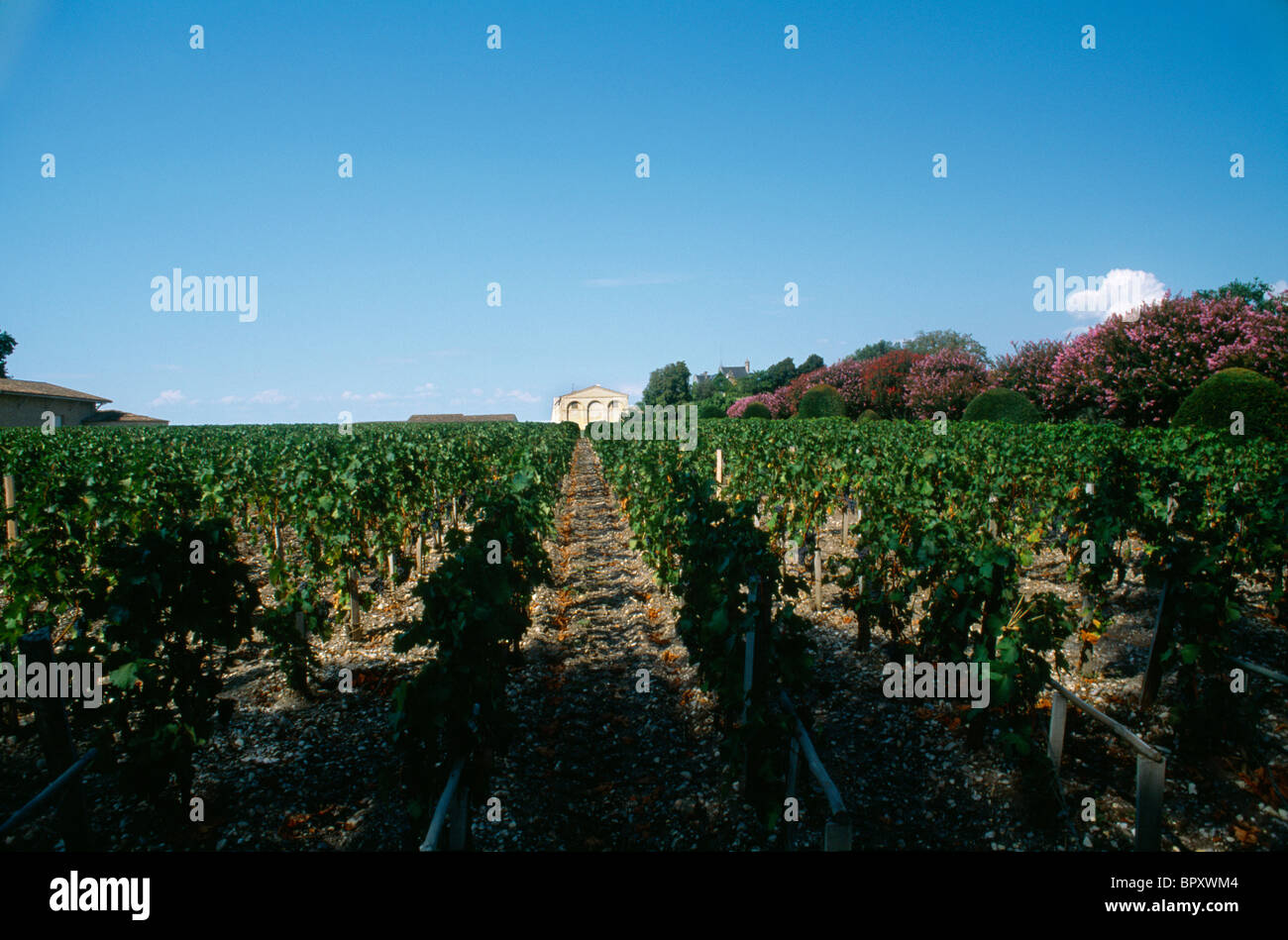 Pauillac France Chateau Mouton Rothschild & Vineyard Stock Photo - Alamy