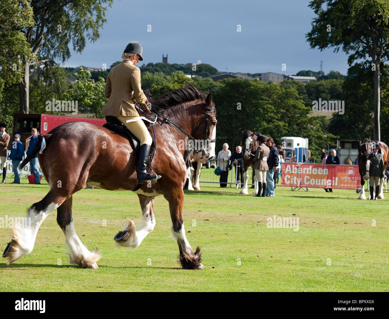 Scottish clydesdale horse show hi-res stock photography and images - Alamy